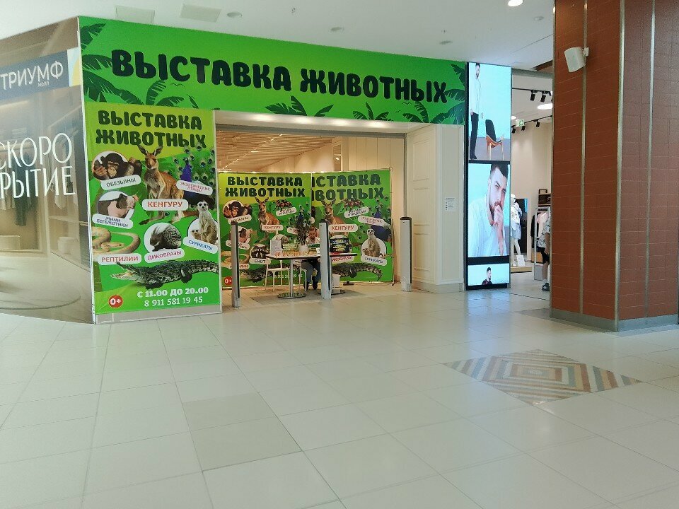 Hayvanat bahçeleri Выставка животных, Saratov, foto