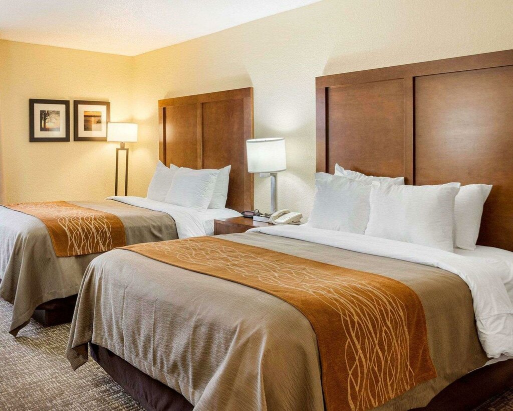 Otel Comfort Inn Olive Branch, Missisippi Eyaleti, foto