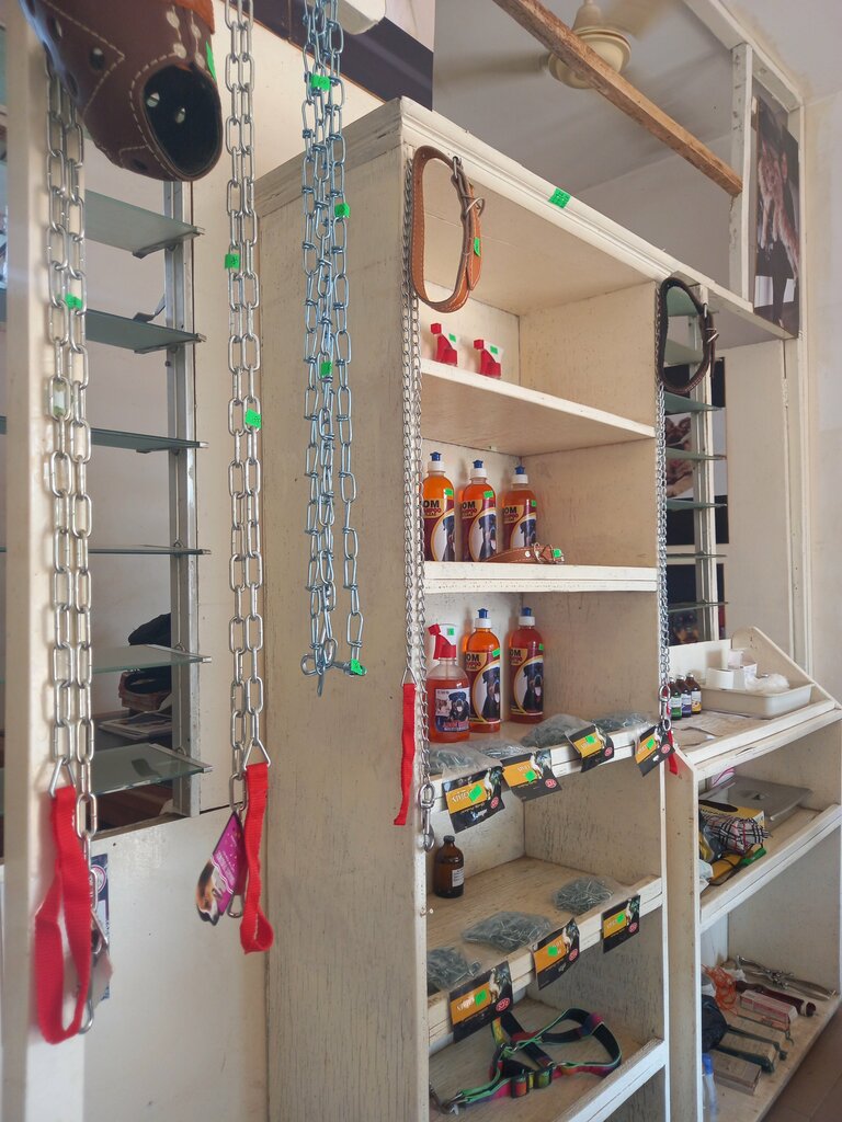 Veteriner klinikleri Maldavets Veterinary, Dünya, foto