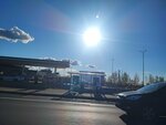 Дальняя Рогатка (Saint Petersburg, Pulkovskoe Highway), toplu taşıma durağı  Saint‑Petersburg'dan