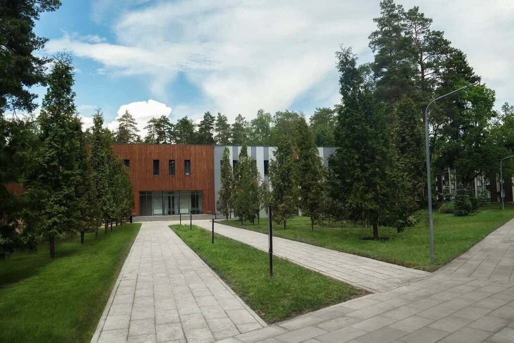 Yaz kampı Community Camp Rosedorf, Moskova ve Moskovskaya oblastı, foto
