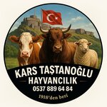Taştan oğlu hayvancılık (Kars, Kars Merkez , Kaleiçi Mah., Dr. Cengiz Askeran Cad., 26), hayvancılık firmaları  Kars'tan
