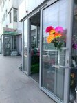 Искусственные цветы (Minomyotchikov Street No:7), yapay bitki ve çiçek  Yekaterinburg'dan