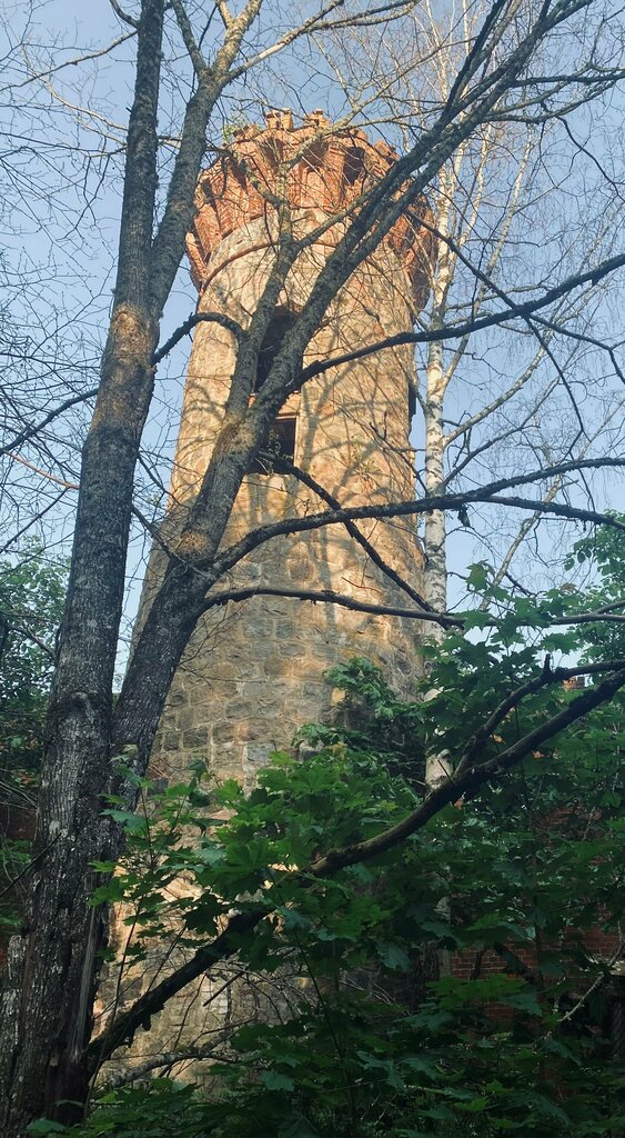 Turistik yerler Мстинская женская школа, Novgorodskaya oblastı, foto
