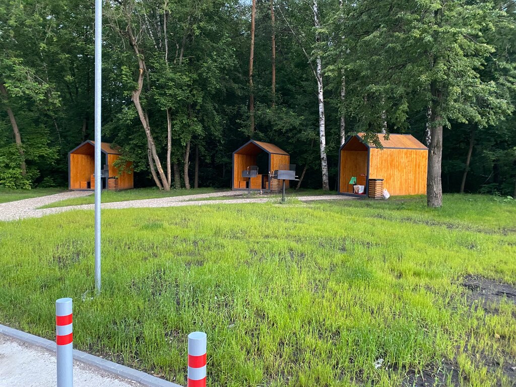 Piknik alanı Место для пикника, Moskova ve Moskovskaya oblastı, foto