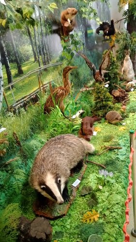 Müzeler ve sanat galerileri Жирновский районный краеведческий музей, Jirnovsk, foto