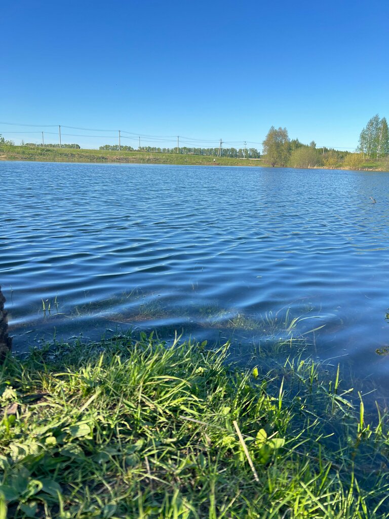 Resort oteller, tesisler Otilia Home, Başkurdistan, foto