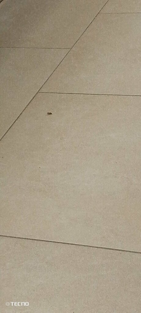 Fast food Pap'sBurger, Yakutsk, foto