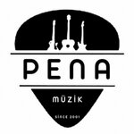 Pena Müzik Merkezi (İstanbul, Küçükçekmece, Yeşilova Mah., 5. Pınar Sok., 8), enstrüman mağazaları  İstanbul'dan