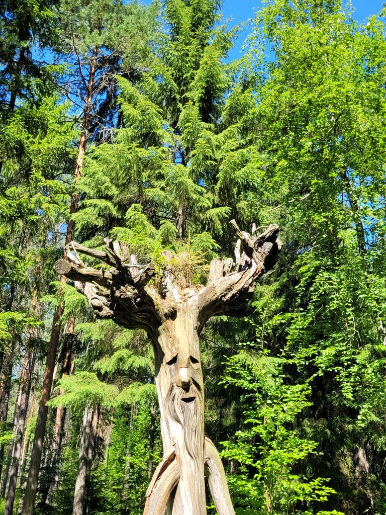 Geziler Tri Medvedya, Zookompleks, Petrozavodsk, foto