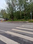 Семь берёз (Leningrad Region, Vsevolozhckiy DIstrict, Koltushskoye gorodskoye poseleniye, derevnya Bor, Beryozovaya alleya), toplu taşıma durağı  Saint‑Petersburg ve Leningradskaya oblastından