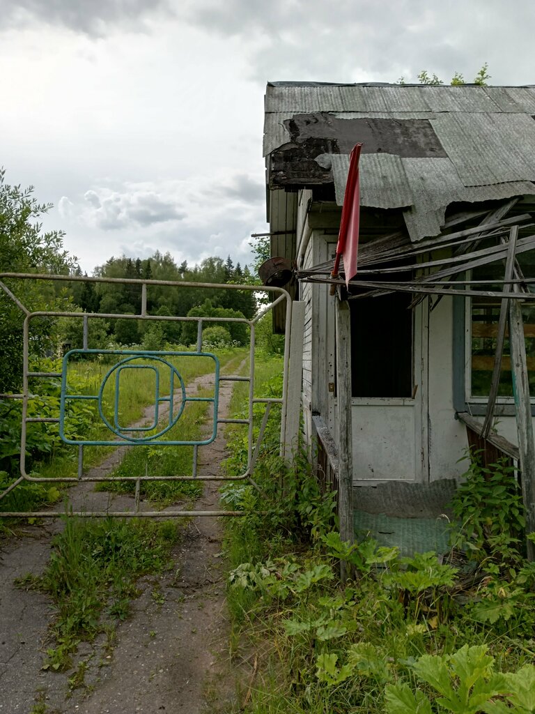 Unutulmaz olayların yeri Дом отдыха Юность, Moskova ve Moskovskaya oblastı, foto