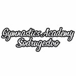 Gymnastics Academy Sodrugestvo (Mitinskaya Street No:46к2), spor kulüpleri  Moskova'dan