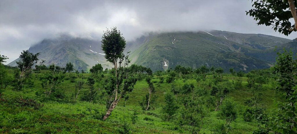 Dağ zirvesi Гора Летняя Поперечная 1417 м, Kamçatski krayı, foto