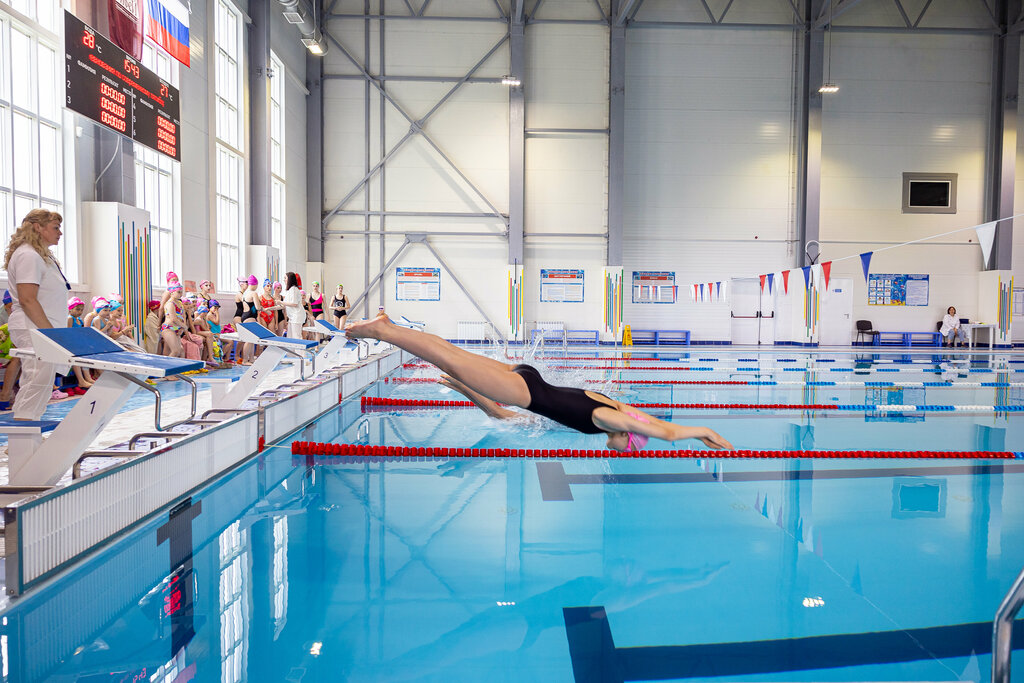 Spor kulüpleri Фламинго, Çeliabinskaya oblastı, foto