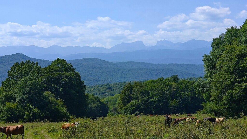 Dağ zirvesi Гора Сундучная, Krasnodarski krayı, foto