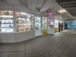 ТехноСток (Avtovokzalnaya ulitsa No:1А), makine ve teçhizatın satın alınması  Orel'den