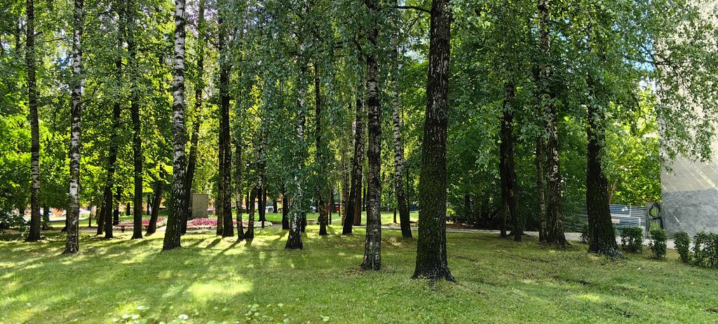 Kültür ve eğlence parkları сквер имени Священномученика Серафима, Smolensk, foto
