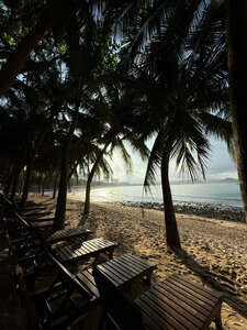 Дадунхай (Haiyun Road No:13), restoran  Sanya'dan