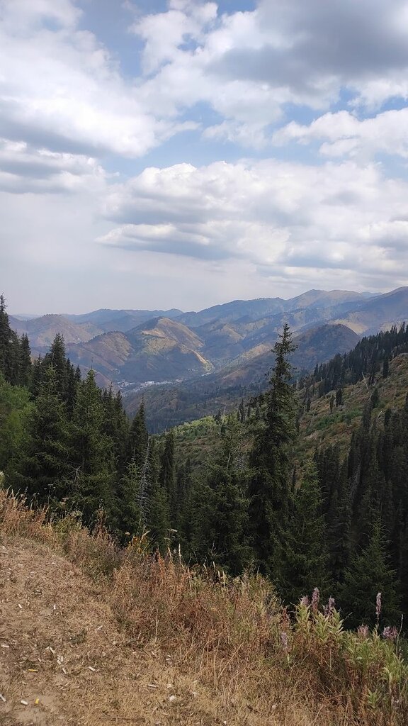 Resort oteller, tesisler Kok-Zhailau Chalet, Almatı, foto