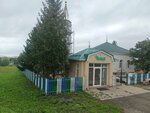 Мечеть (Klubnaya ulitsa No:50/1, Village of Singeli), cami  Tataristan'dan