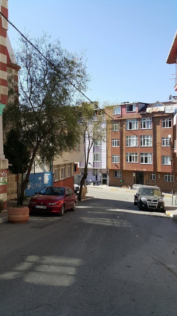 Cami Arafat Cami, İstanbul, foto