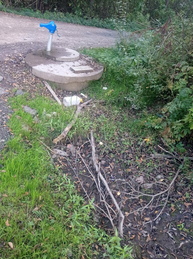 Tulumba Standpipe, Peterhof, foto