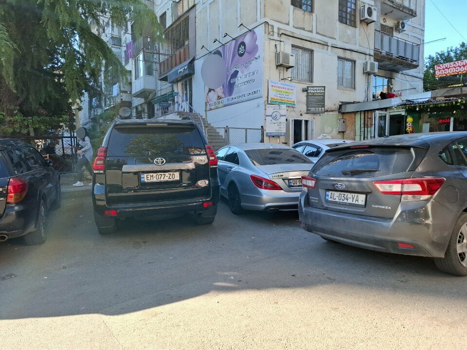 Uçak ve demiryolu biletleri Avia Kaplan, Tiflis, foto