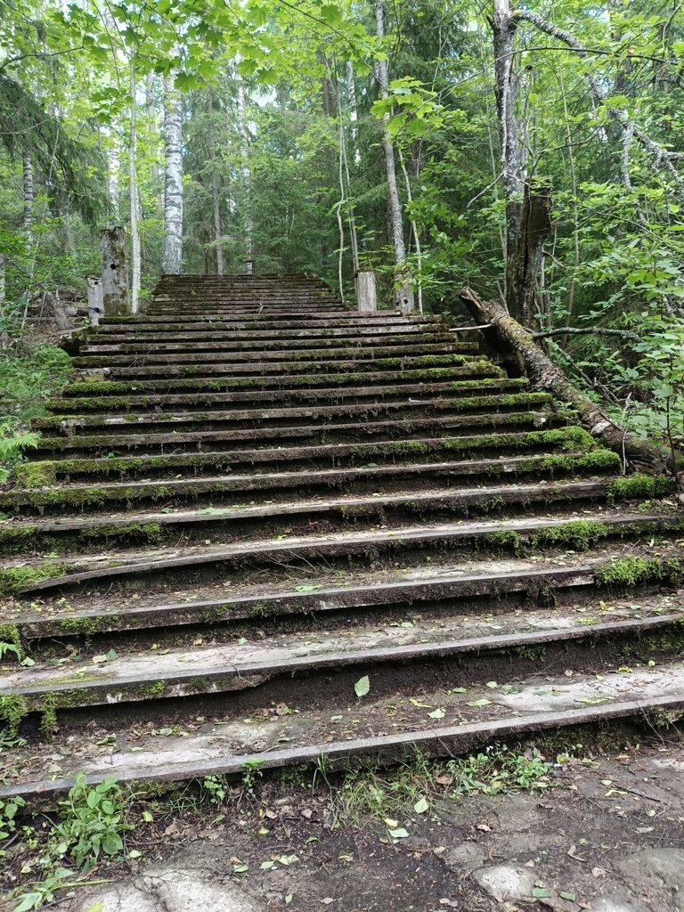 Turistik yerler Развалины финской кирхи, Karelya, foto