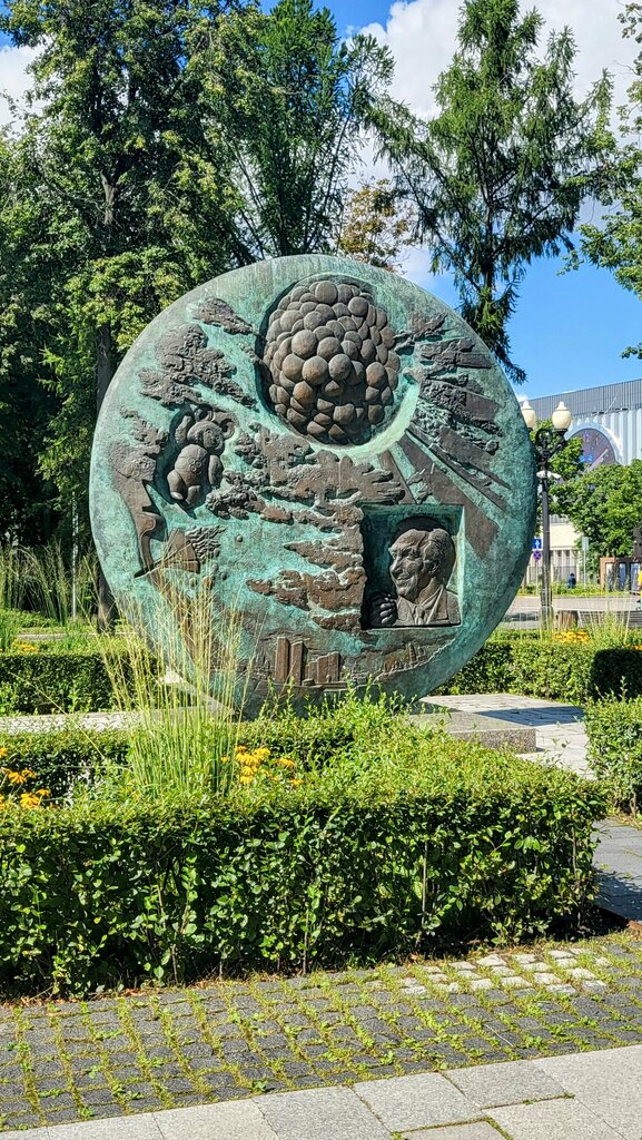 Anıt, heykel Олимпийскому движению, Moskova, foto