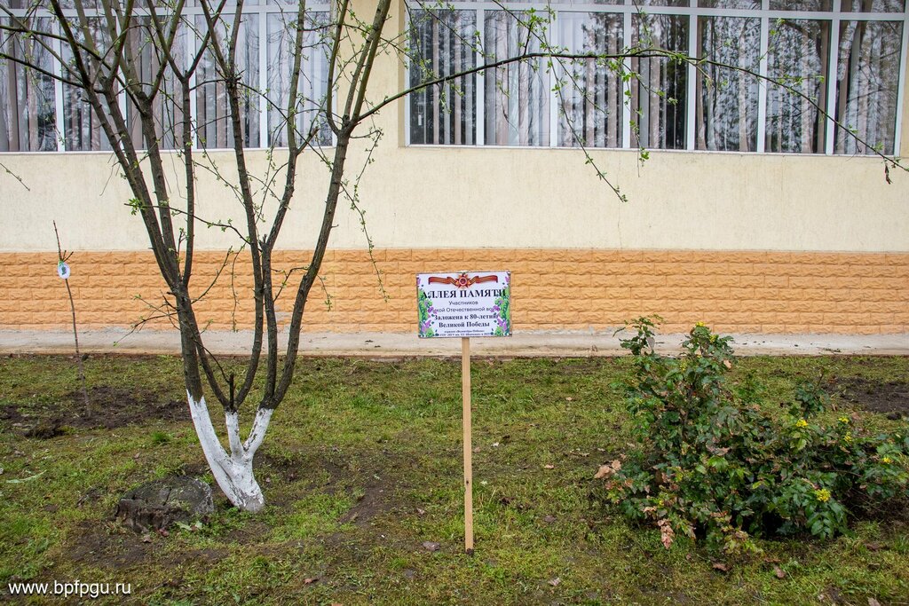 Kültür ve eğlence parkları Аллея Памяти участников Великой Отечественной Войны, Bender, foto