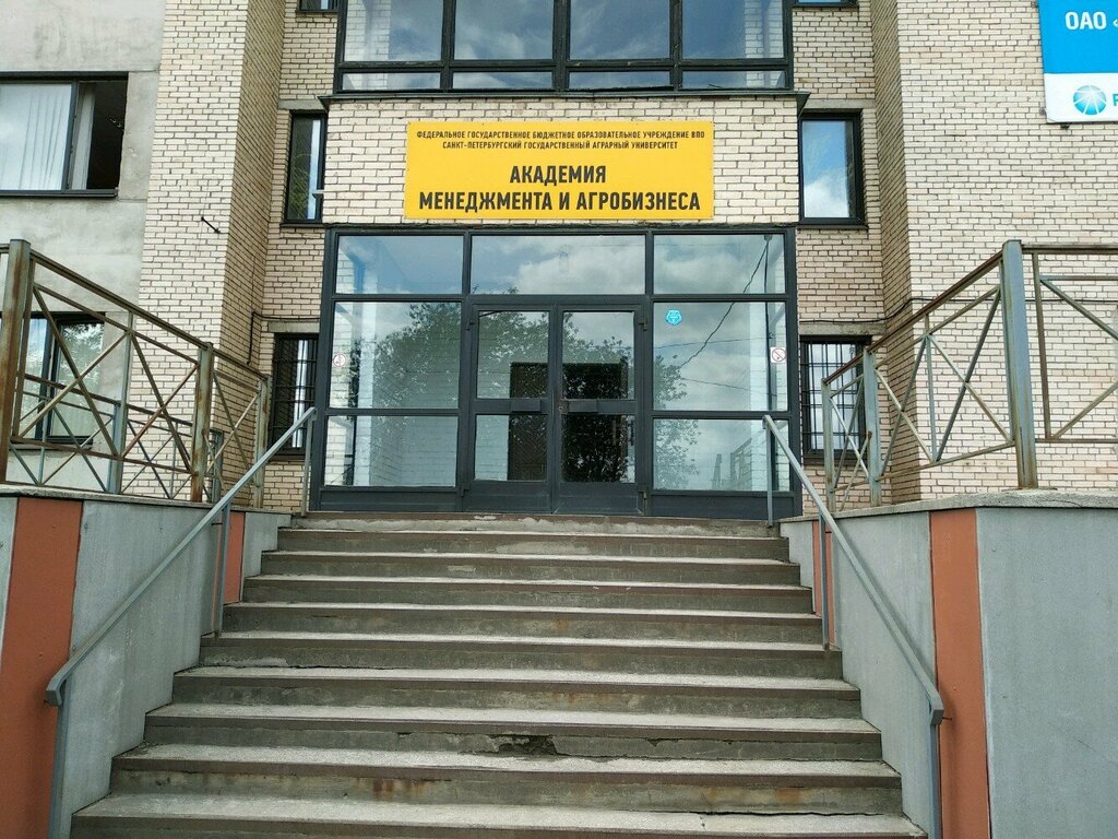 Spor kulüpleri Ю'Питер, Saint‑Petersburg, foto