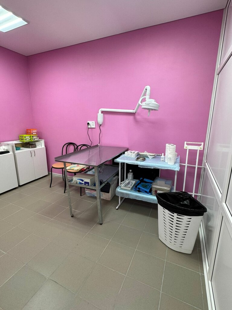 Veteriner klinikleri Animal Sterilization Center, Orsk, foto