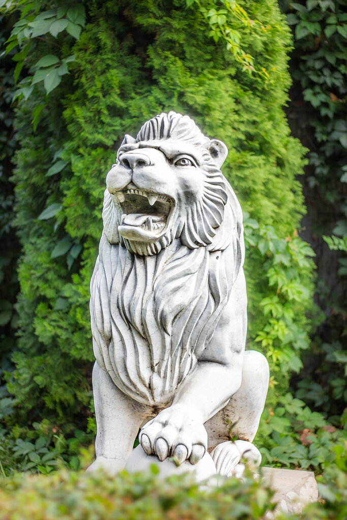 Park, sokak heykeli Лев, Astrahan, foto