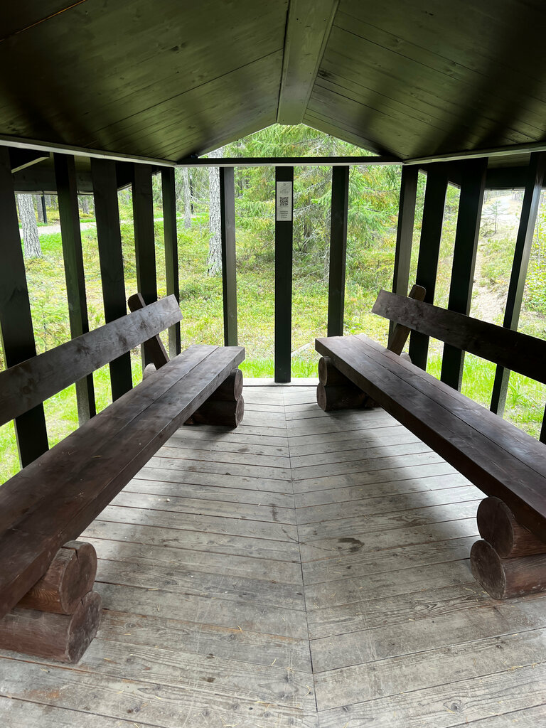 Çardak Карельская беседка, Saint‑Petersburg ve Leningradskaya oblastı, foto