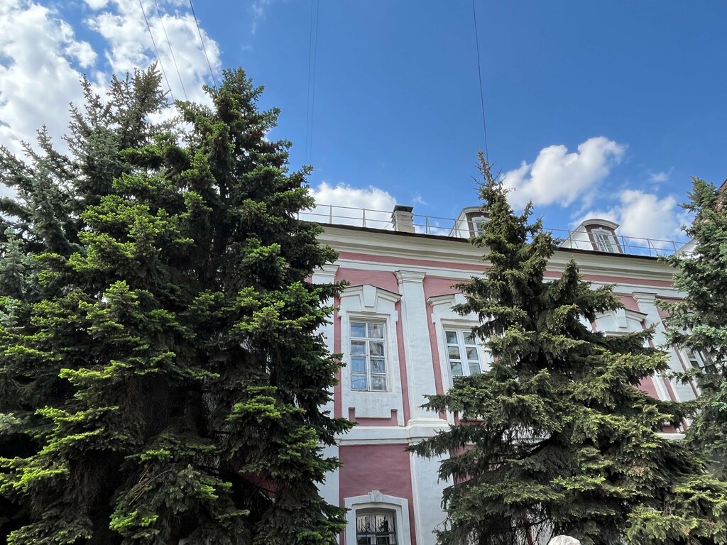 Turistik yerler Главный дом городской усадьбы Яньковых - И.Б. Давыдова, Moskova, foto