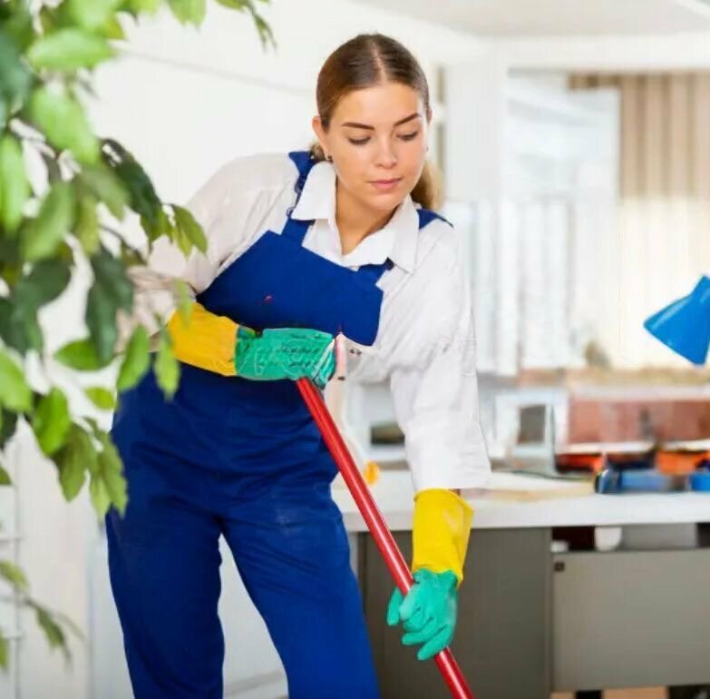 Temizlik şirketleri Мистер и миссис Клин, Omsk, foto