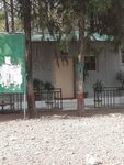 Kidist Arsema (Addis Ababa, Nifas Silk-Lafto, Kebele 92), dini dernekler  Addis Ababa'dan