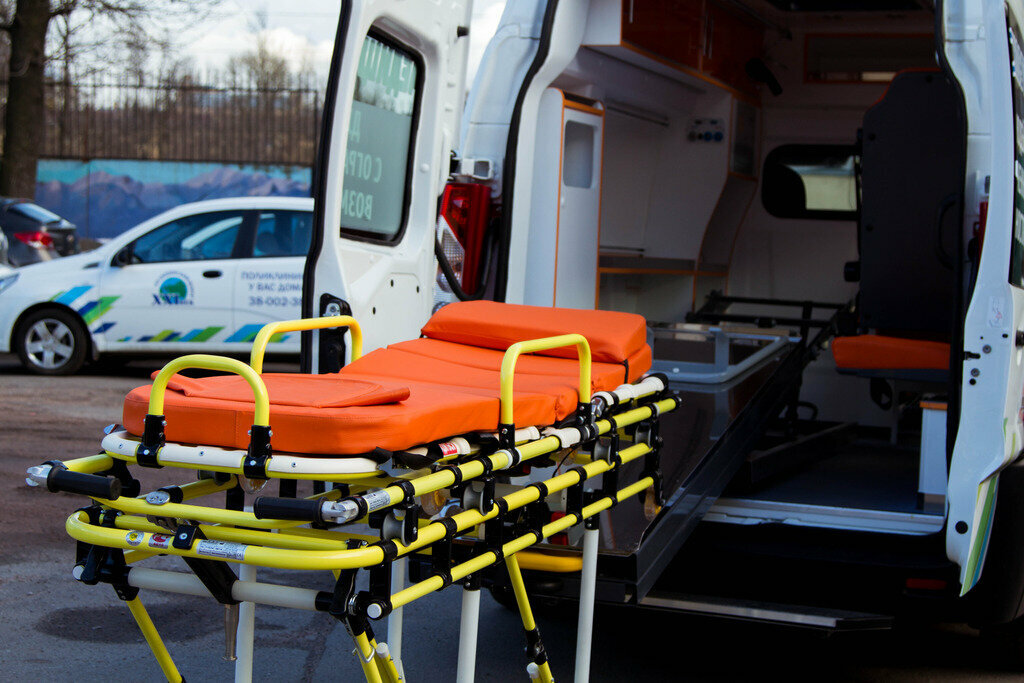 Hasta nakli Pulse03, Moskova, foto