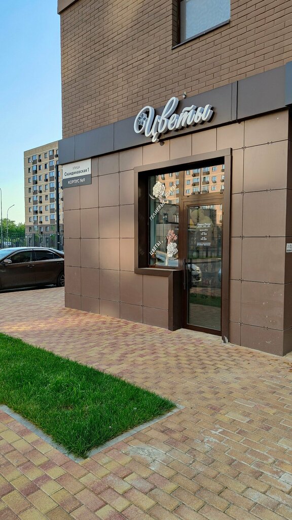 Müzik okulları ve konservatuarlar Studio 23, Krasnodar, foto