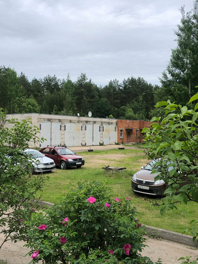 Garajlar Поликлиника Пашской участковой больницы, Saint‑Petersburg ve Leningradskaya oblastı, foto