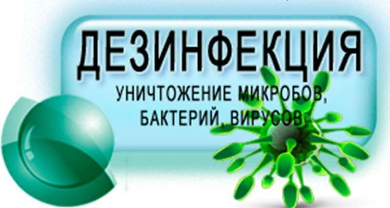 Haşere ilaçlama firmaları City Pest Control Service, Mytişçi, foto