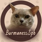 Burmaness. SPb (Budapeshtskaya Street No:14к1), evcil hayvan yetiştiricileri  Saint‑Petersburg'dan