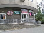 Accounting services (Evgeniy Brýsılovskıı kóshesi No:167блок5), muhasebeciler  Almatı'dan
