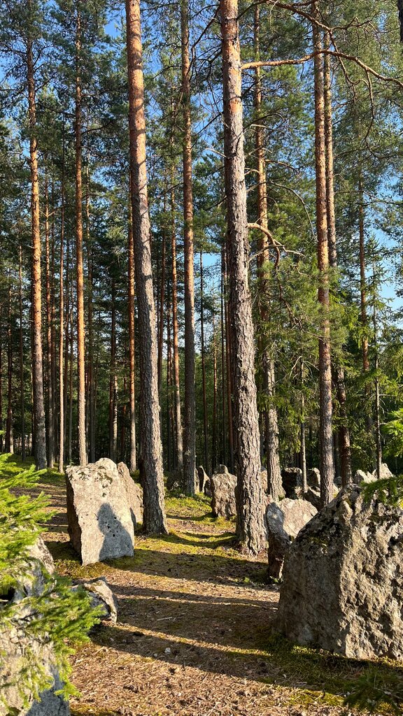 Turistik yerler Гранитные блоки линии Манергейма, Saint‑Petersburg ve Leningradskaya oblastı, foto