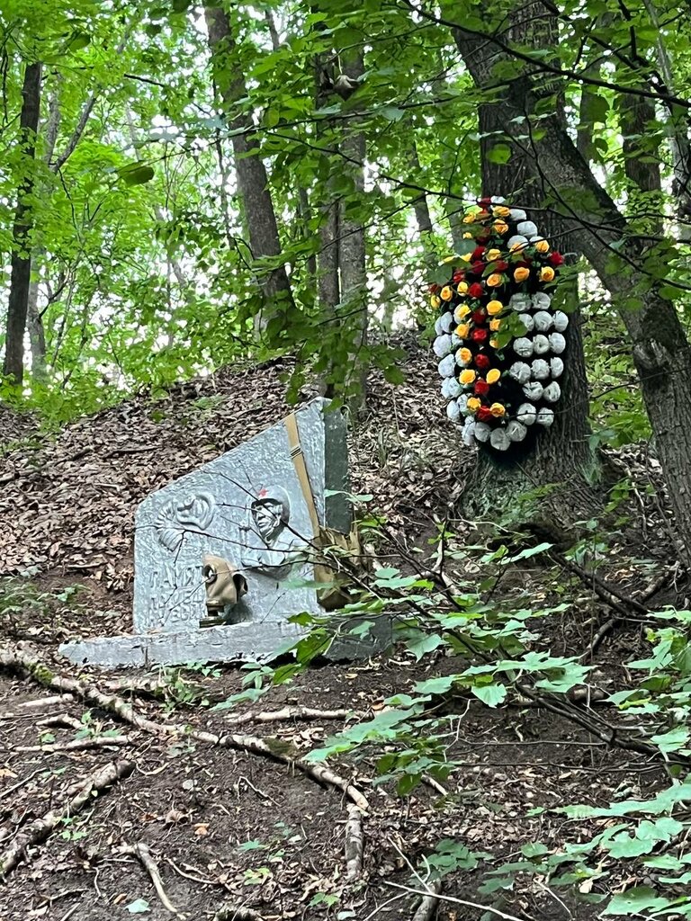 Orman урочище Винница, Belgorodskaya oblastı, foto