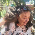 Веселый енот (Berdyanskaya ulitsa No:58), kısa süreli konaklama  Yeysk'ten