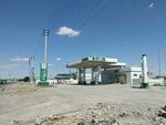 Sattı Zhol (Shymkent, Qaıtpas-2 yqsham aýdany), benzin istasyonu  Çimkent'ten (Şımkent'ten)