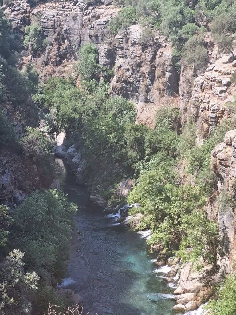 Restoran İdeal Rafting Restoran, Manavgat, foto
