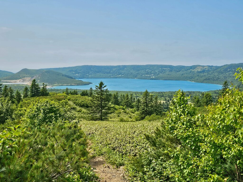 Parklar ve ormanlar Gosudarstvenny prirodny zapovednik Kurilsky, Sahalin Bölgesi, foto